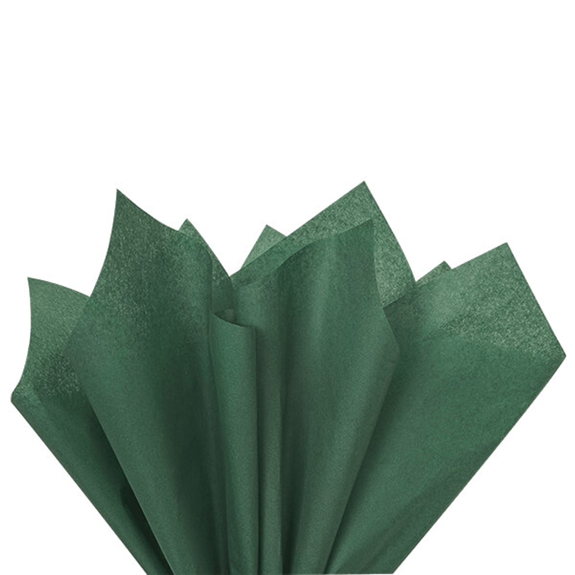 Wrapping & Package Fill Tissue Paper – Paperboy